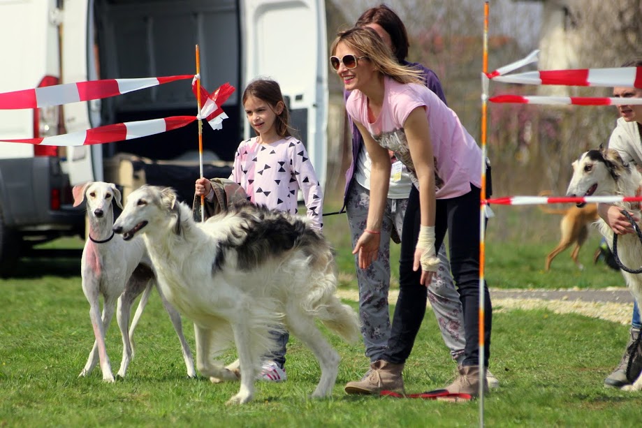 Lure Coursing: U nedjelju se u Pribislavcu natječu hrtovi i drugi psi