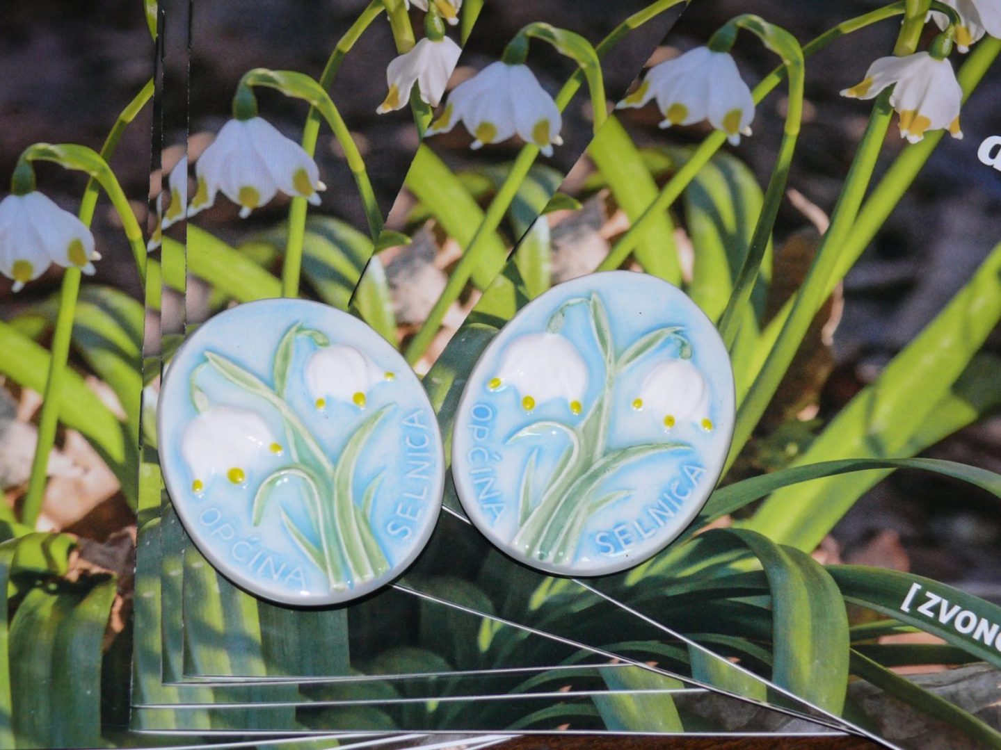 FOTO: Općina Selnica predstavila edukativnu kampanju posvećenu očuvanju ...