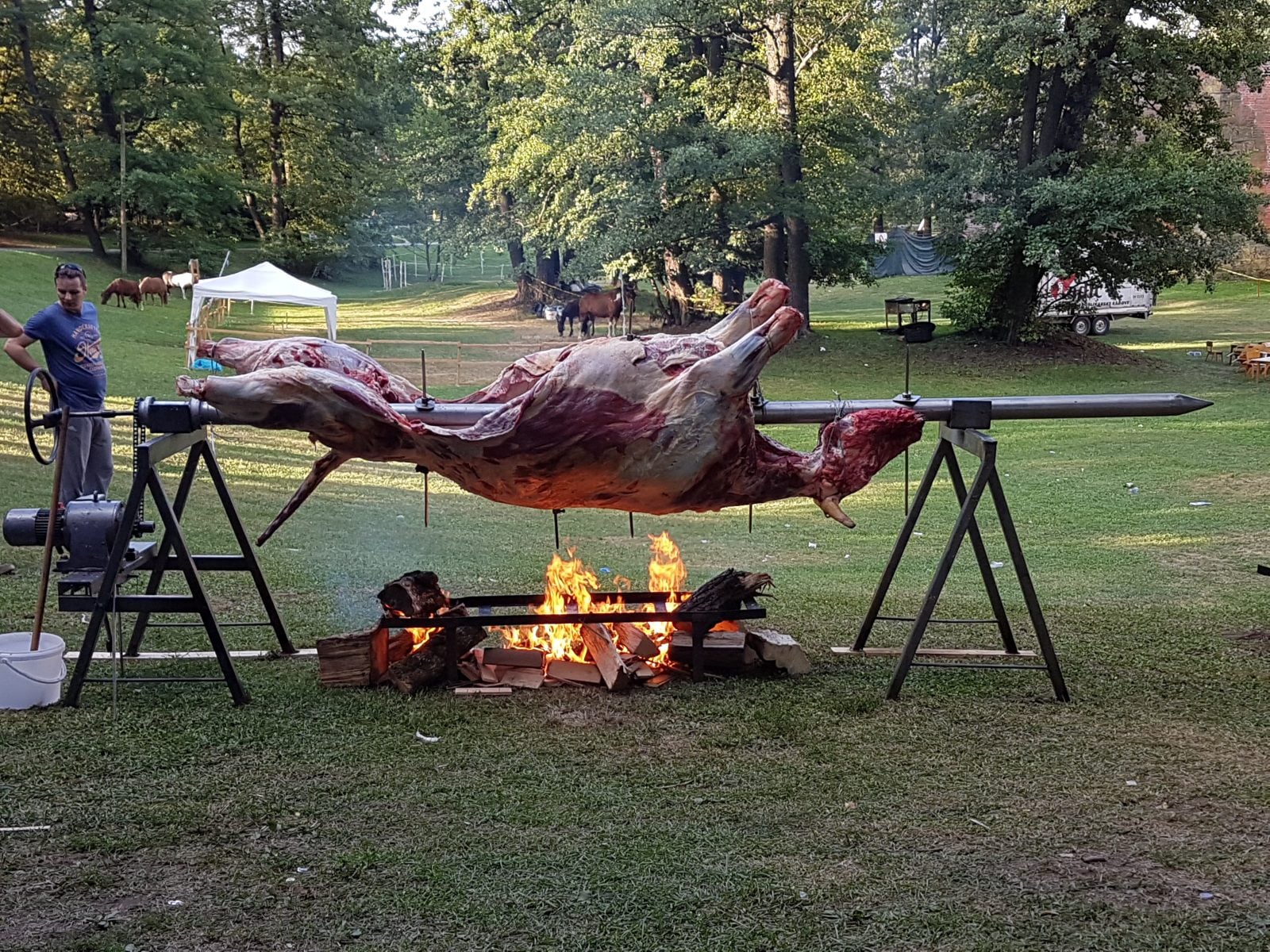 Vol na ražnju, specijalitet dana na Porcijunkulovom