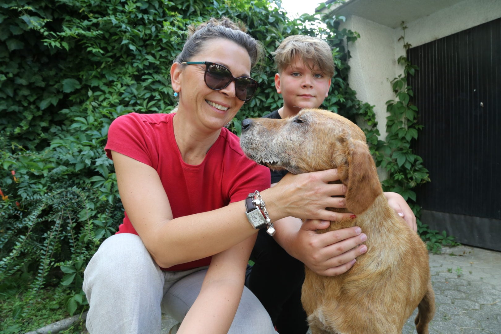 Ljubav dječaka i psa: Beo nakon šest godina odmah po glasu prepoznao Blaža