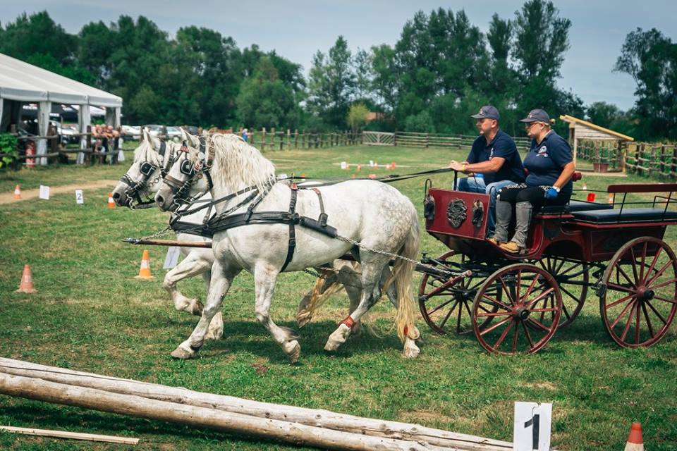 Ludbreški konjari pozivaju na nedjeljne konjičke igre u Hrastovsko
