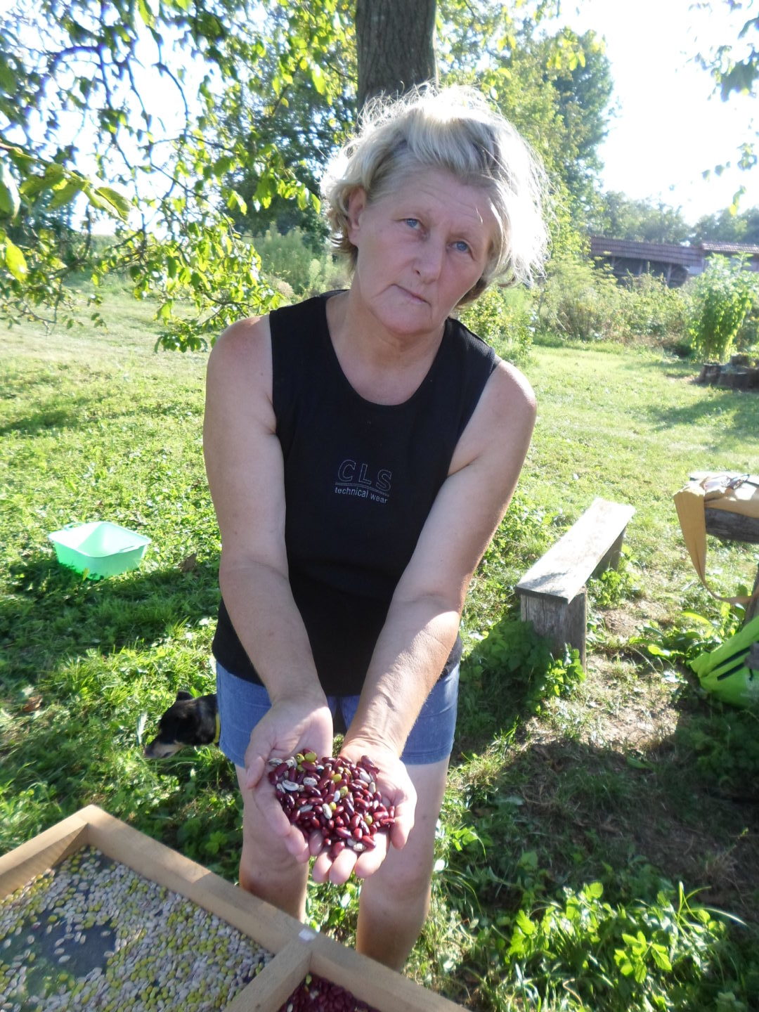 Slavica Šegović uzgaja i čuva stare sorte graha za nove generacije