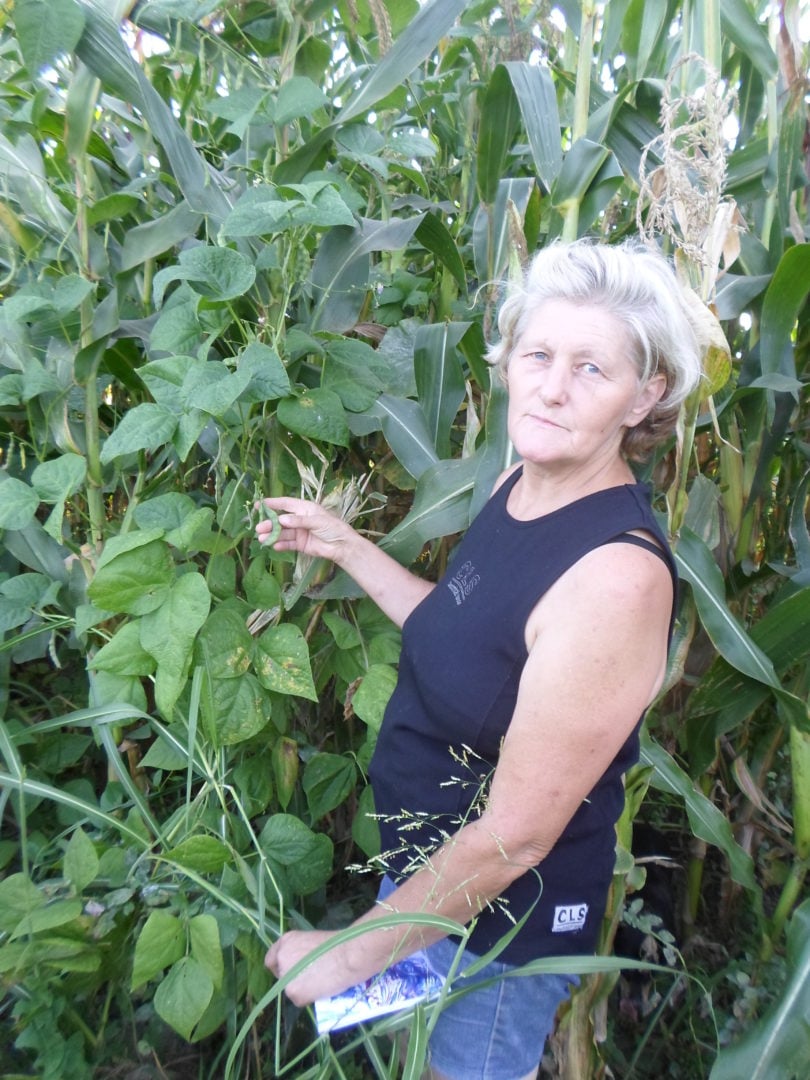 Slavica Šegović uzgaja i čuva stare sorte graha za nove generacije