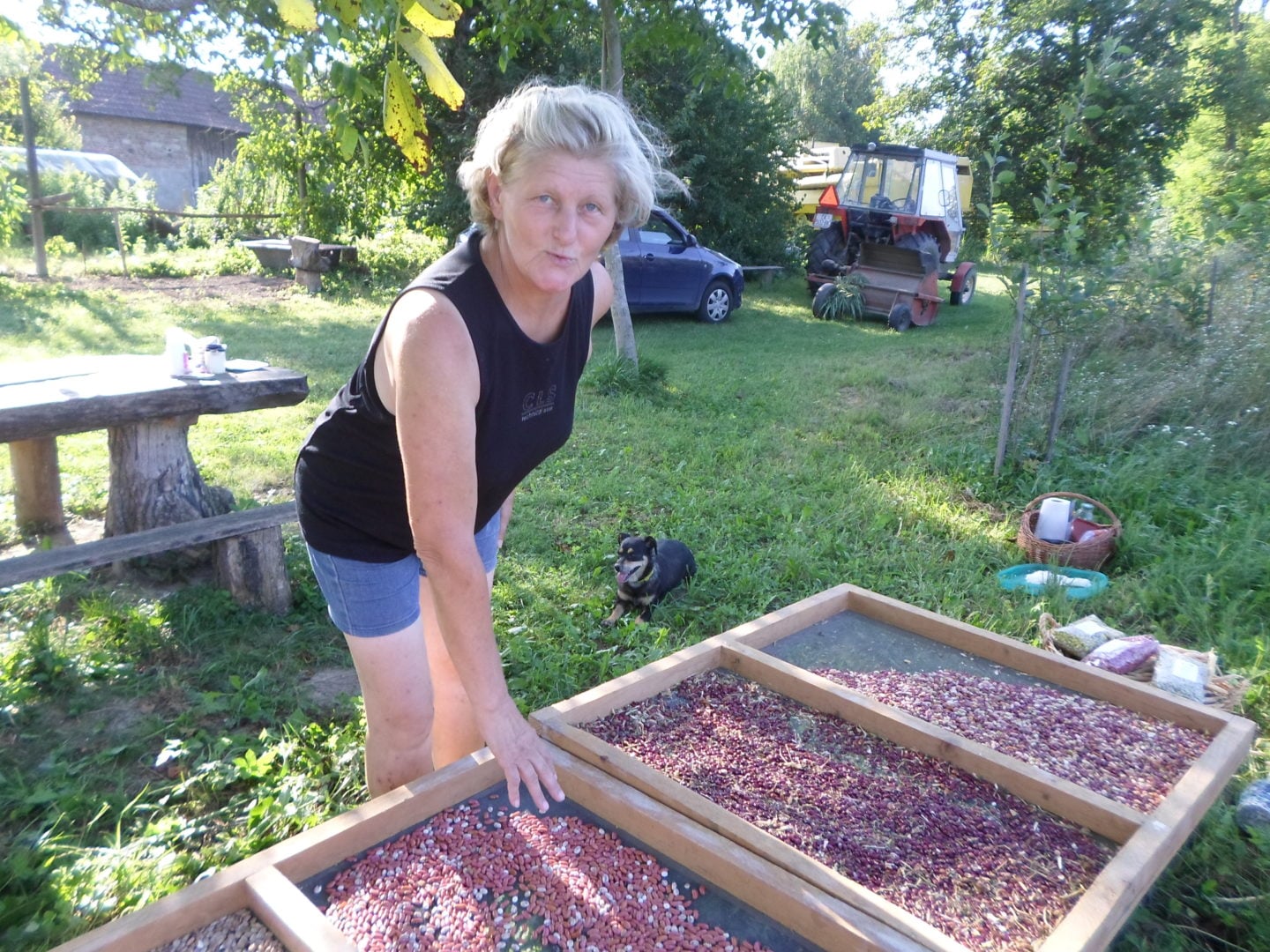 Slavica Šegović uzgaja i čuva stare sorte graha za nove generacije