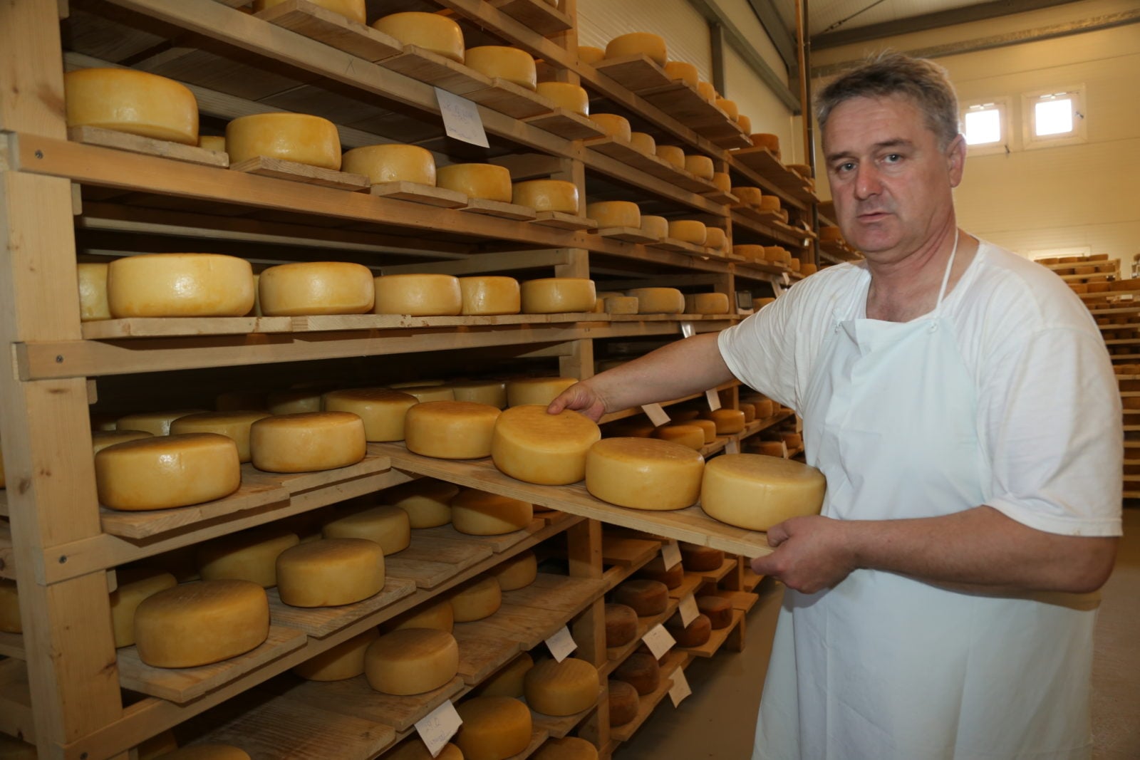 Međimurski sir od slovenskog mlijeka osvojio Dalmaciju