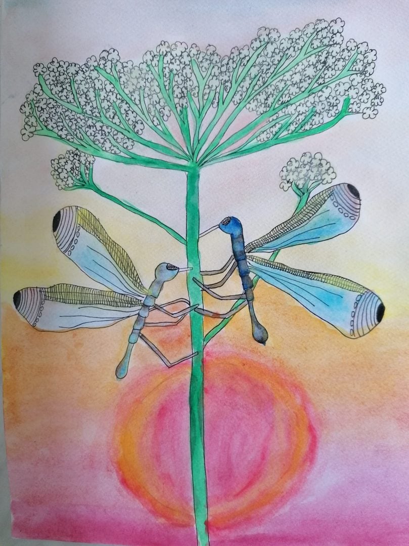 Radovi učenika OŠ Tomaša Goričanca iz Male Subotice odabrani za likovnu ...