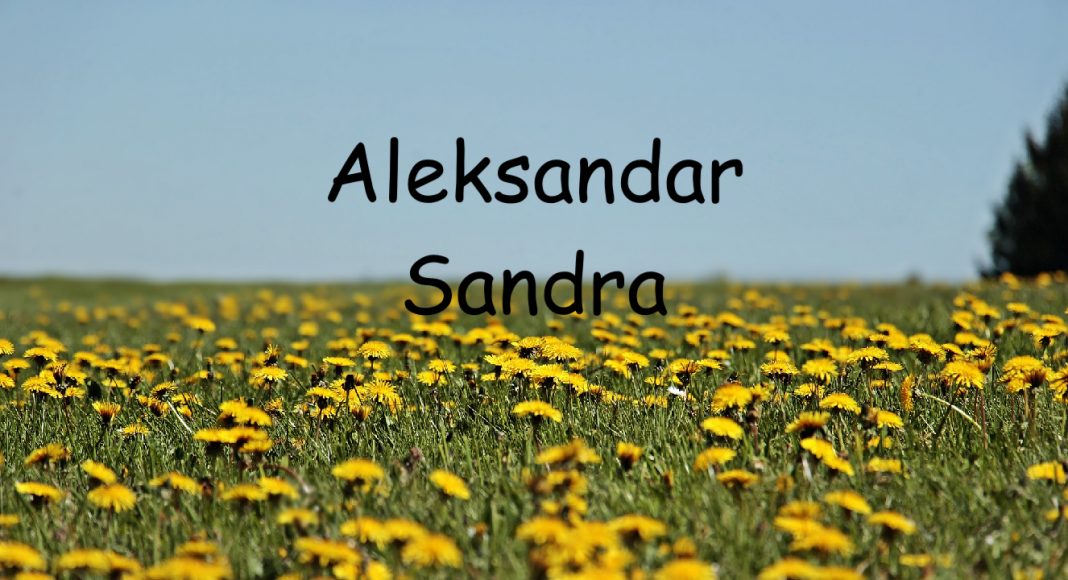 Aleksandar i Sandra danas slave imendan