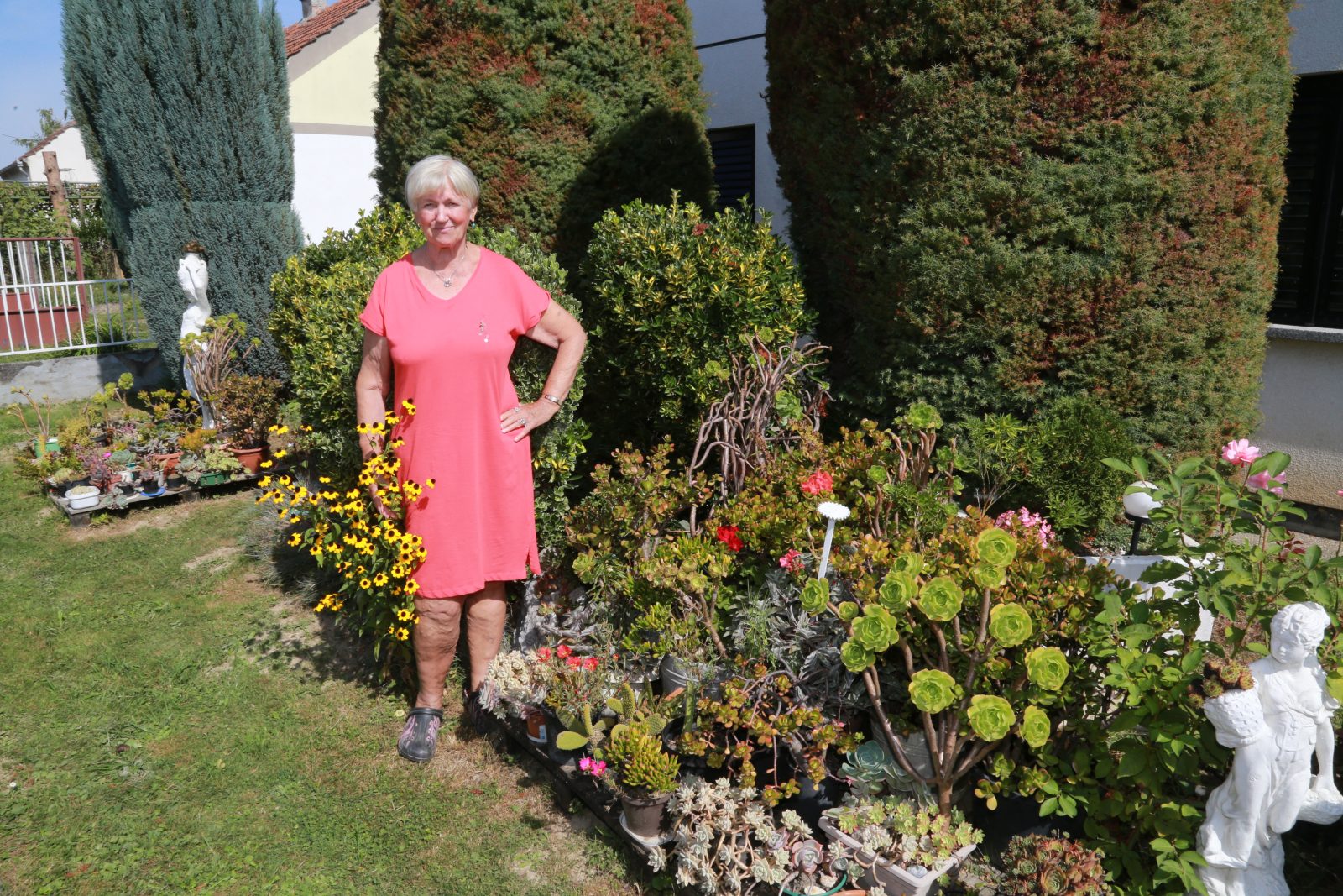 Raskošni engleski vrt Katarine Sarić iz Mačkovca koji krije rijetke ...