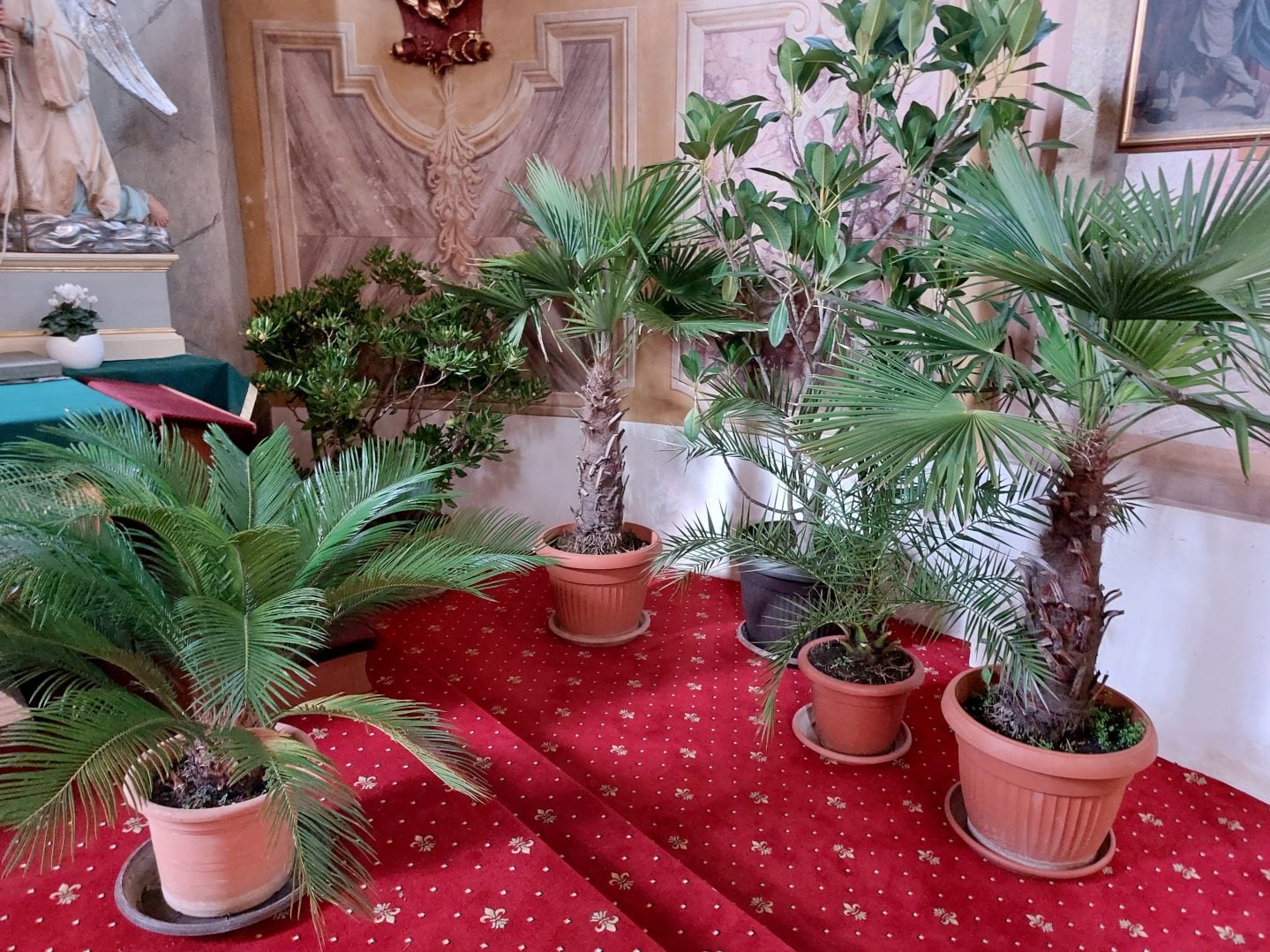 vlč. Mirko Pilaj župnik je koji se uz svoju pastvu brine i o tisućama ...