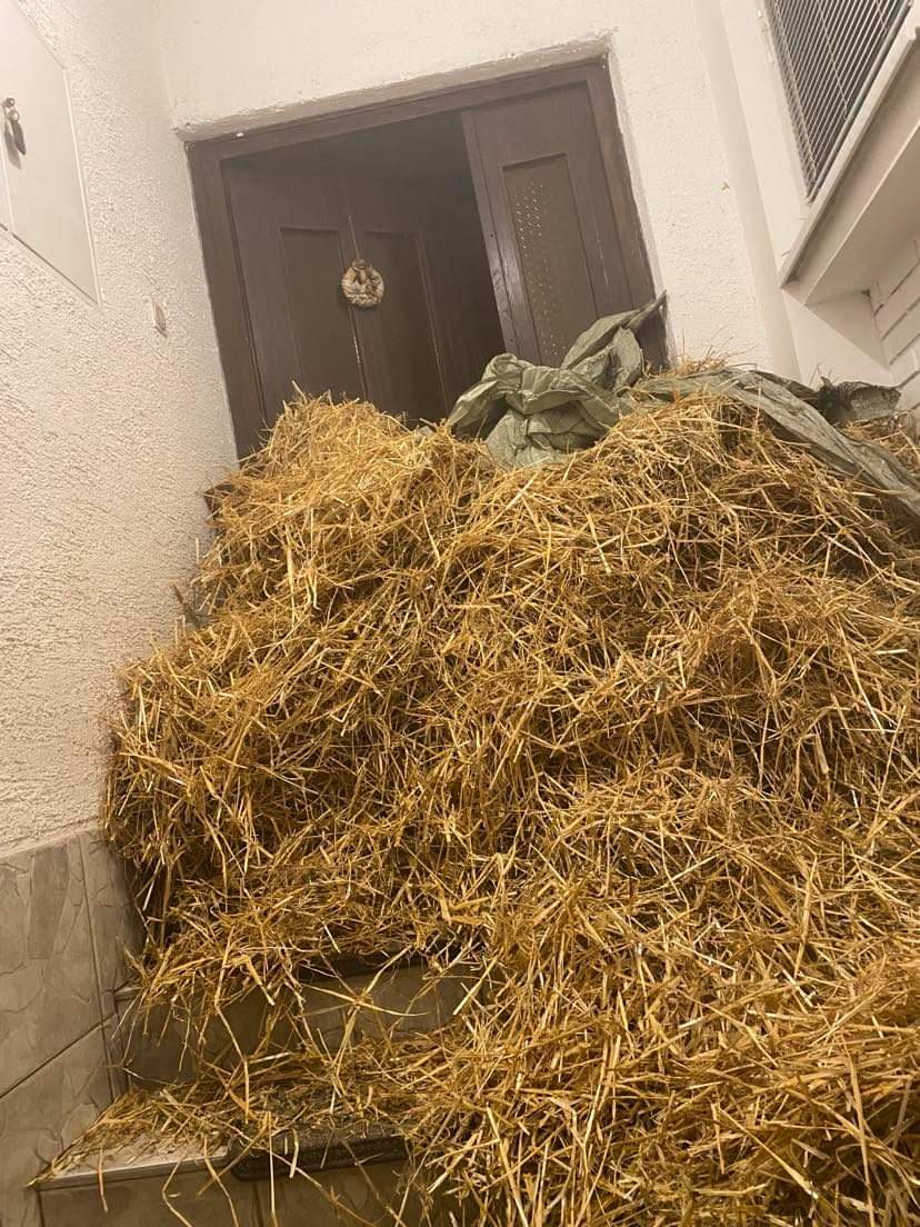 FOTO: Mateja Novak i Matija Sokač zaručili su se uz natepanje