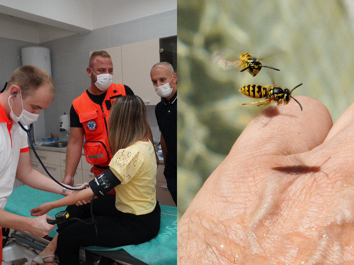 Ubodi osa sve fatalniji za Međimurce