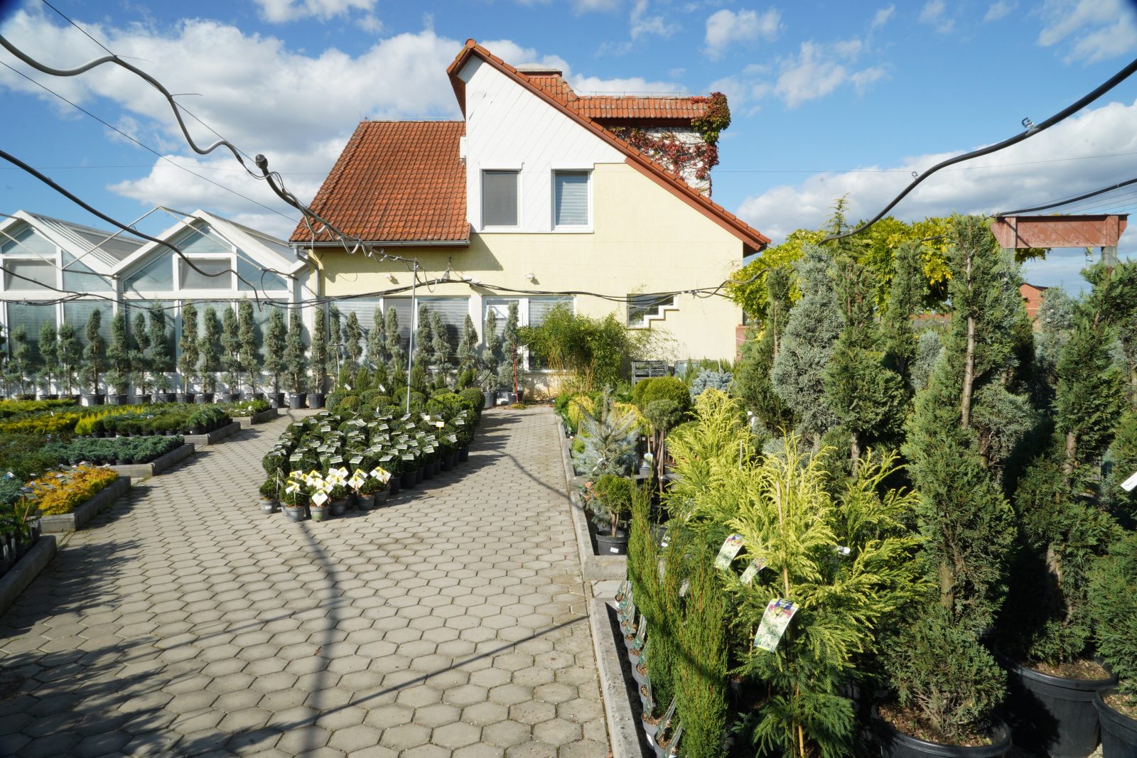 Vrtni centar Iva u Štefancu: Iskoristite jesenske dane za sadnju ...