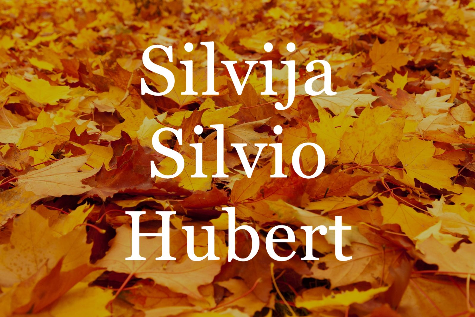 Danas imendan slave Silvija, Silvio i Hubert