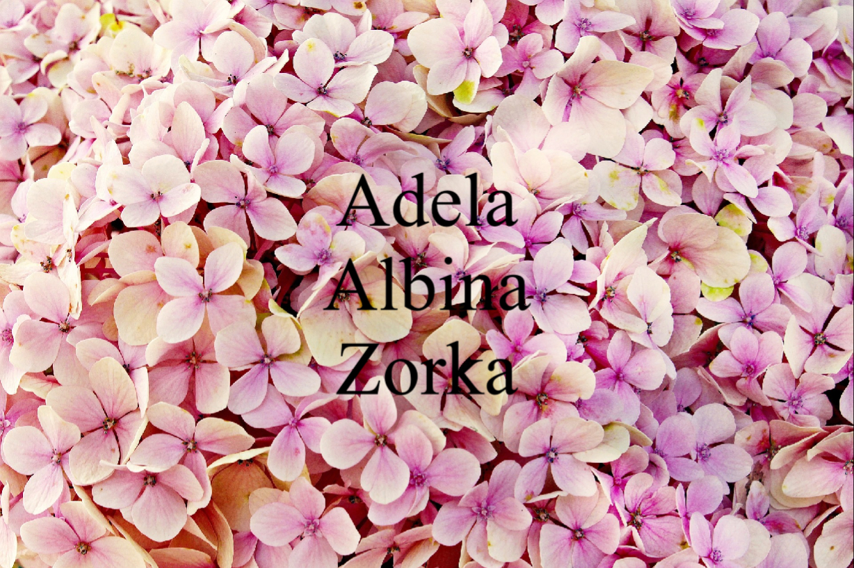 Imendan imaju Adela, Albina i Zorka