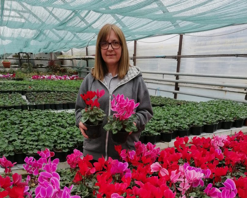 Ciklame Vesne Novak oduzimaju dah