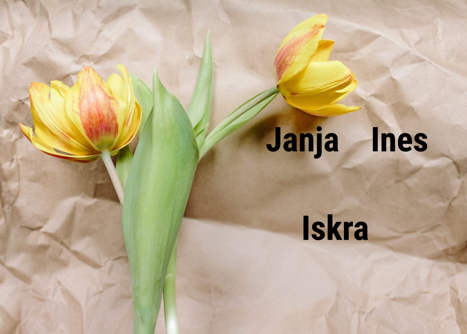 Imendan danas slave Janja, Ines, Iskra | mnovine.hr