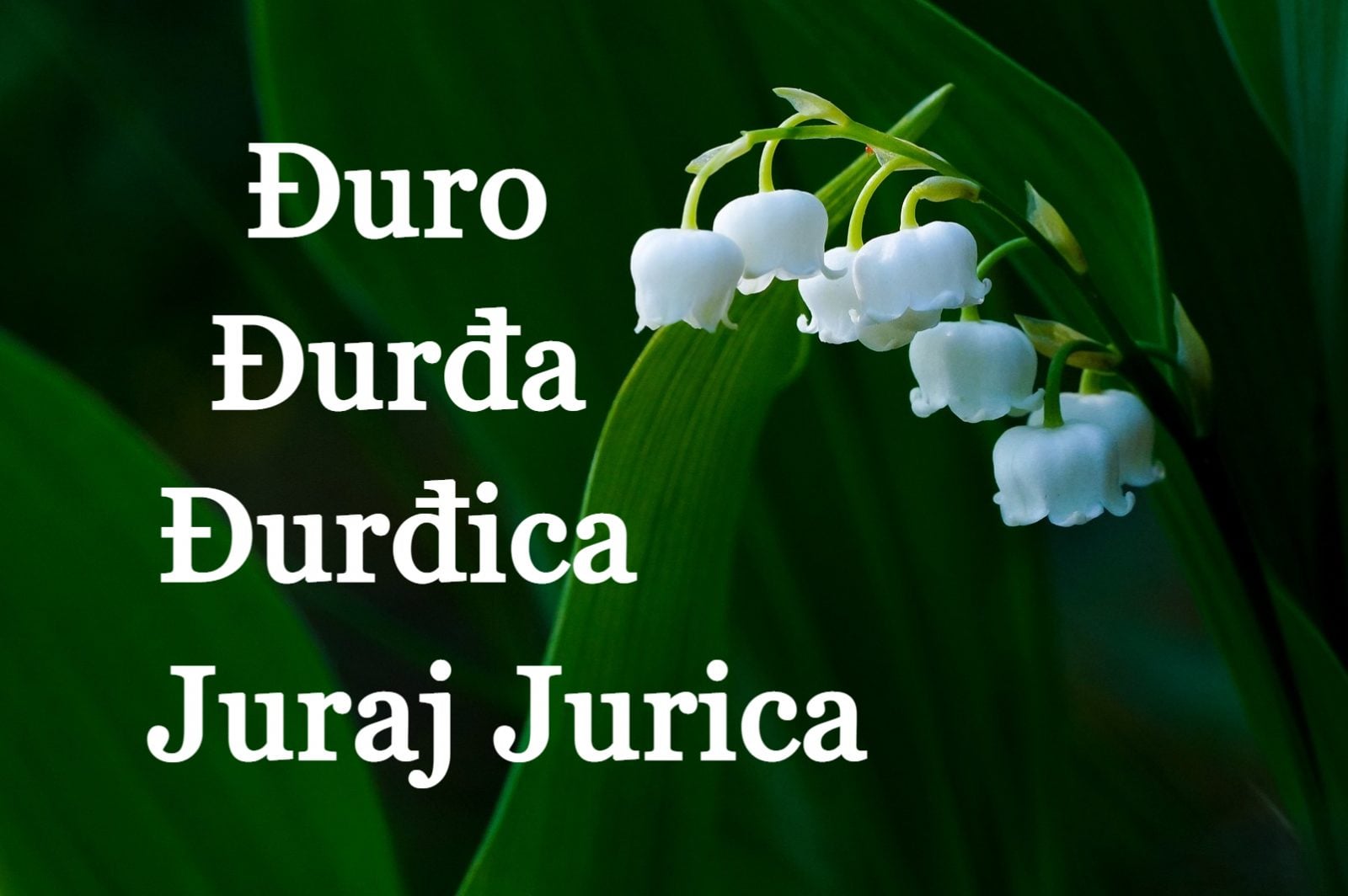 Danas je Jurjevo: Imendan slave Juraj, Jurica, Đuro, Đurđa i Đurđica