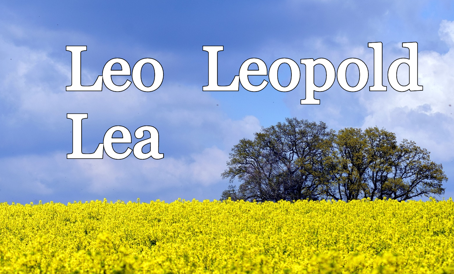 Imendan danas slave Lea, Leo i Leopold