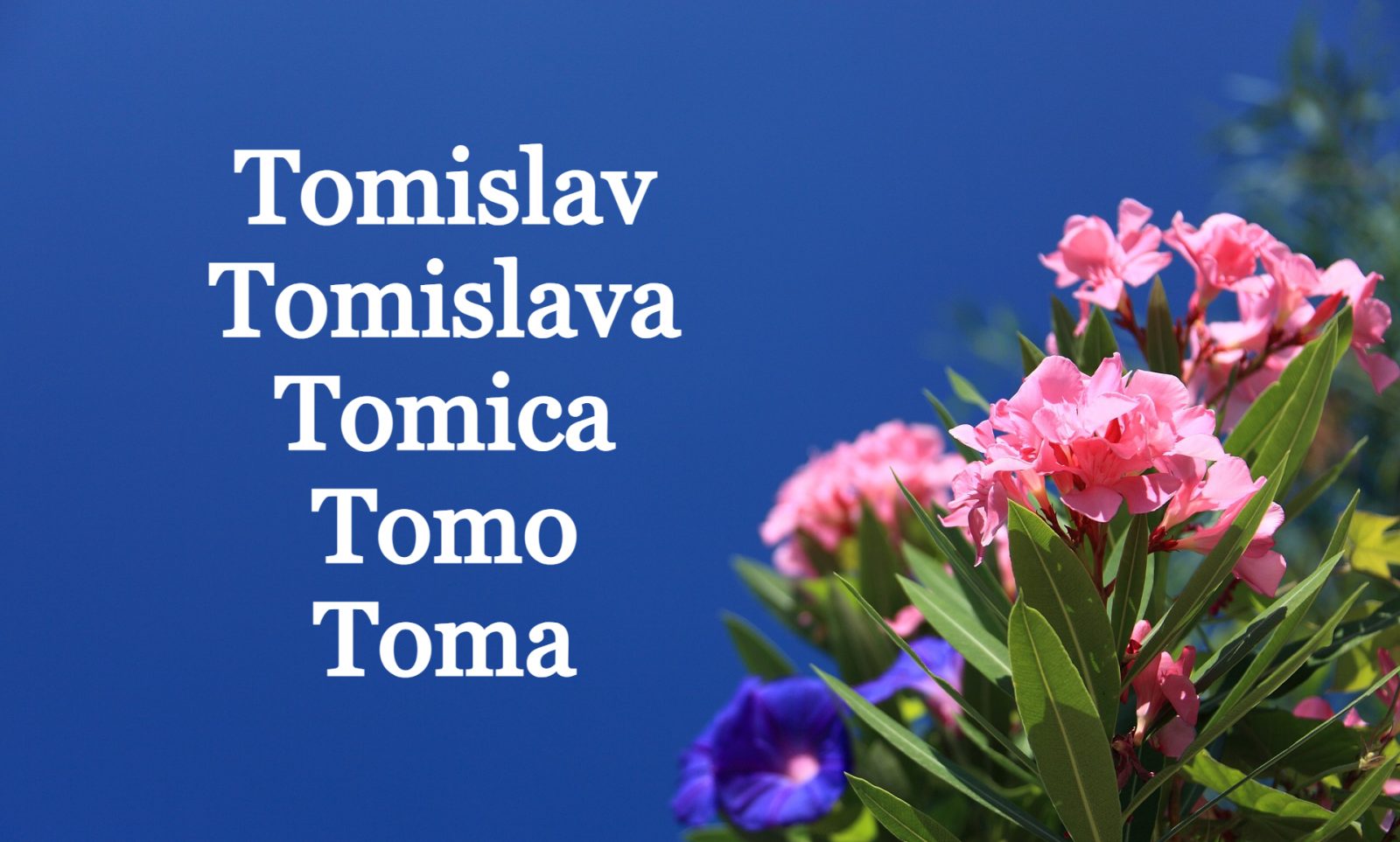Imendan danas slave Tomislav, Tomislava, Tomica, Tomo i Toma