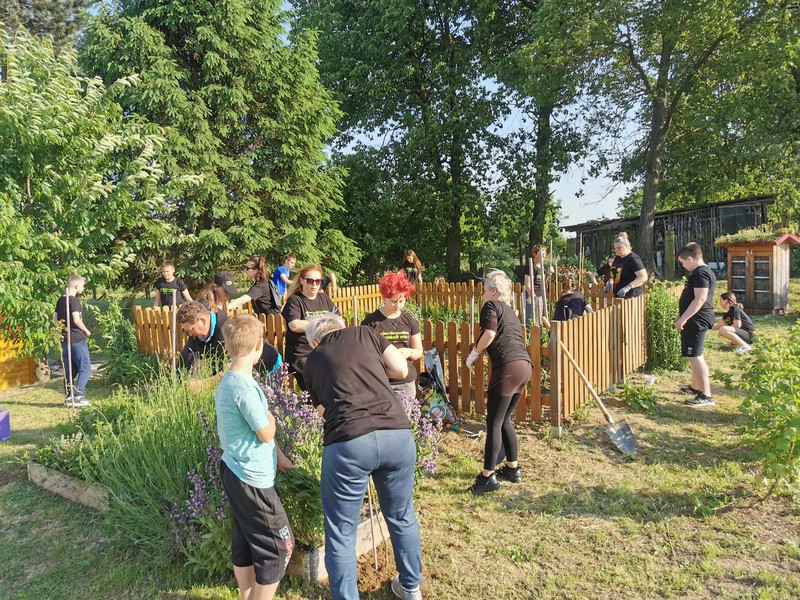 Projekt Udruge Biovt: Čuvamo bioraznolikost u školskom vrtu u OŠ ...