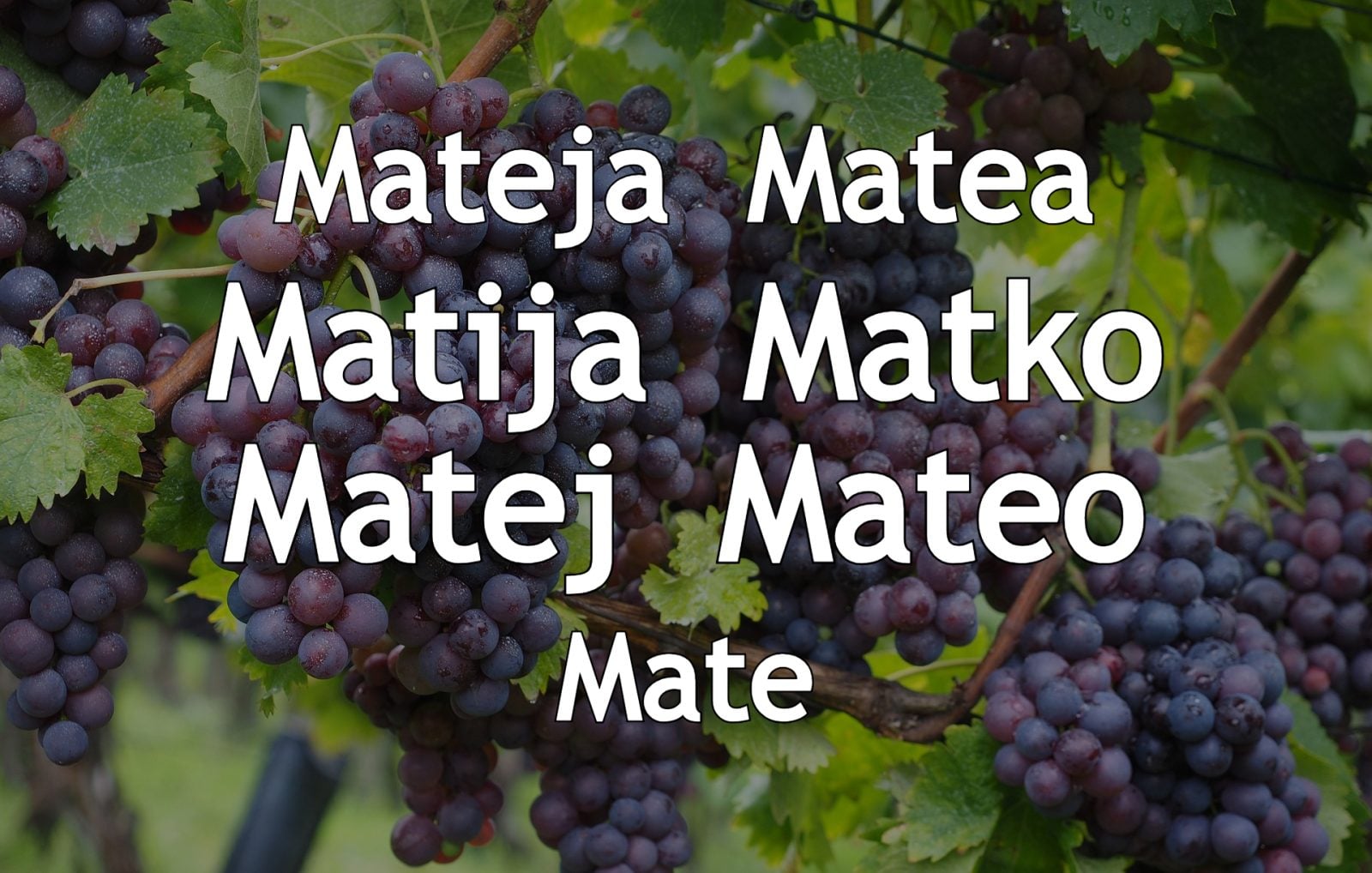 Danas je njihov dan: Imendan slave Matej, Mateja, Matea, Mateo, Matija ...