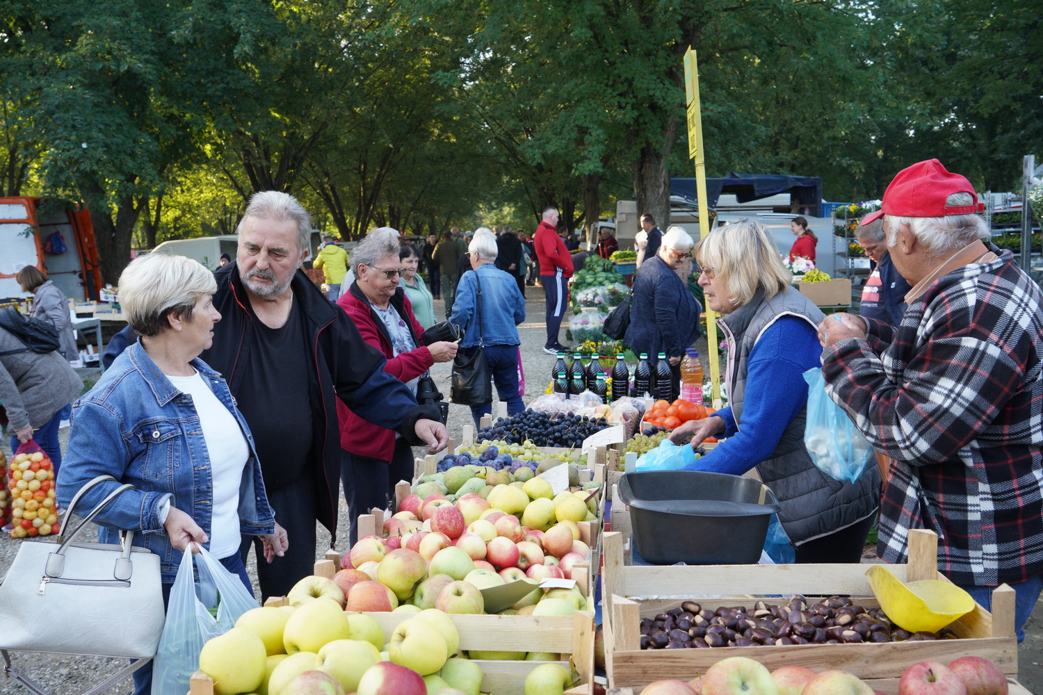 Sajam u Čakovcu 11.10.2023.