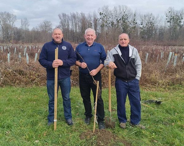 Preloški pčelari sadili medonosno drveće