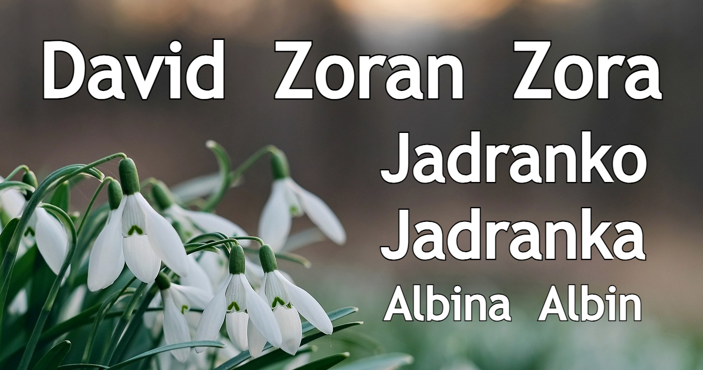 Danas imendan slave David, Zoran, Zora, Jadranko, Jadranka, Albina i Albin