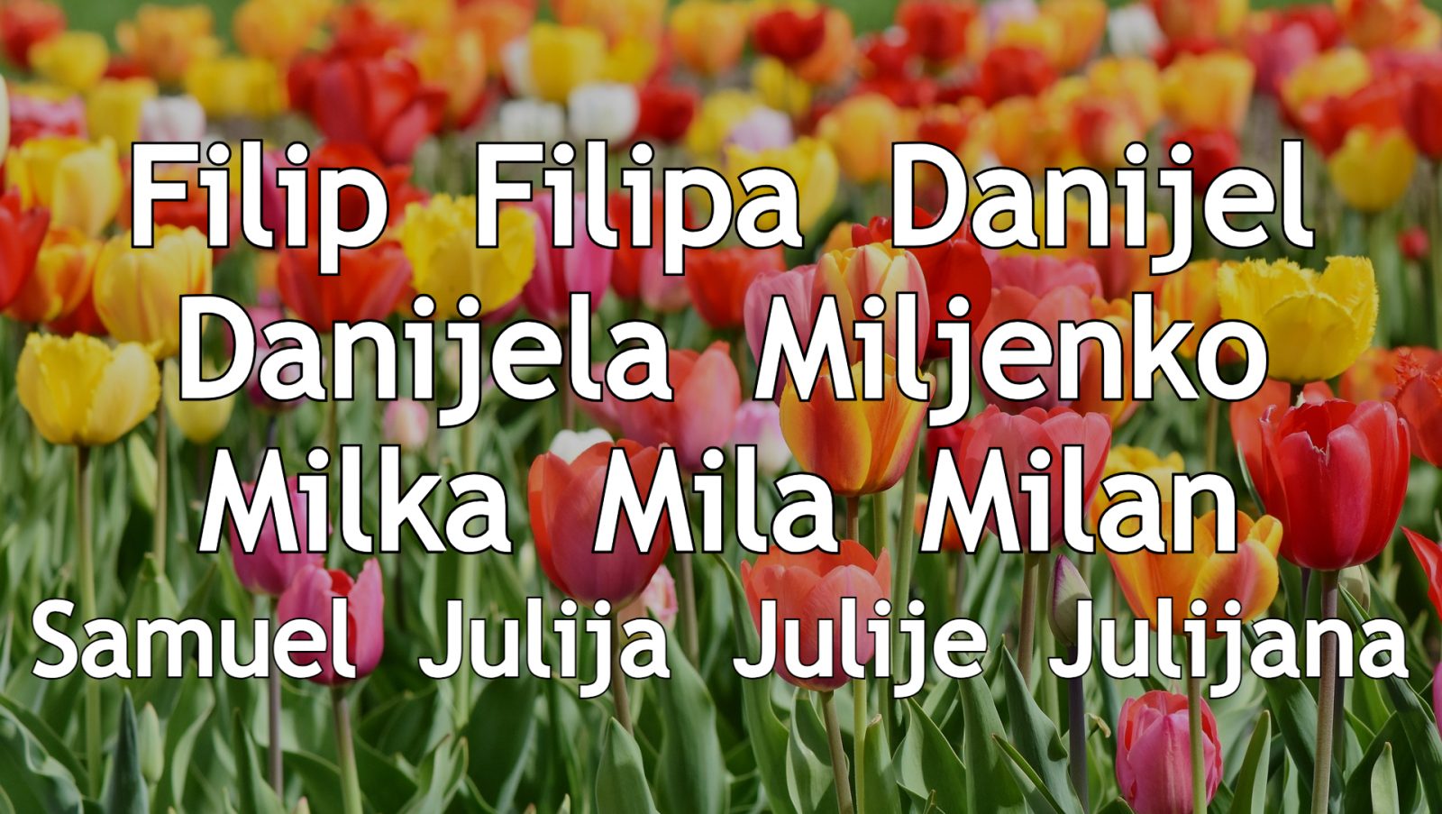 Imendan slave Filip, Filipa, Danijel, Danijela, Miljenko, Milka, Mila ...