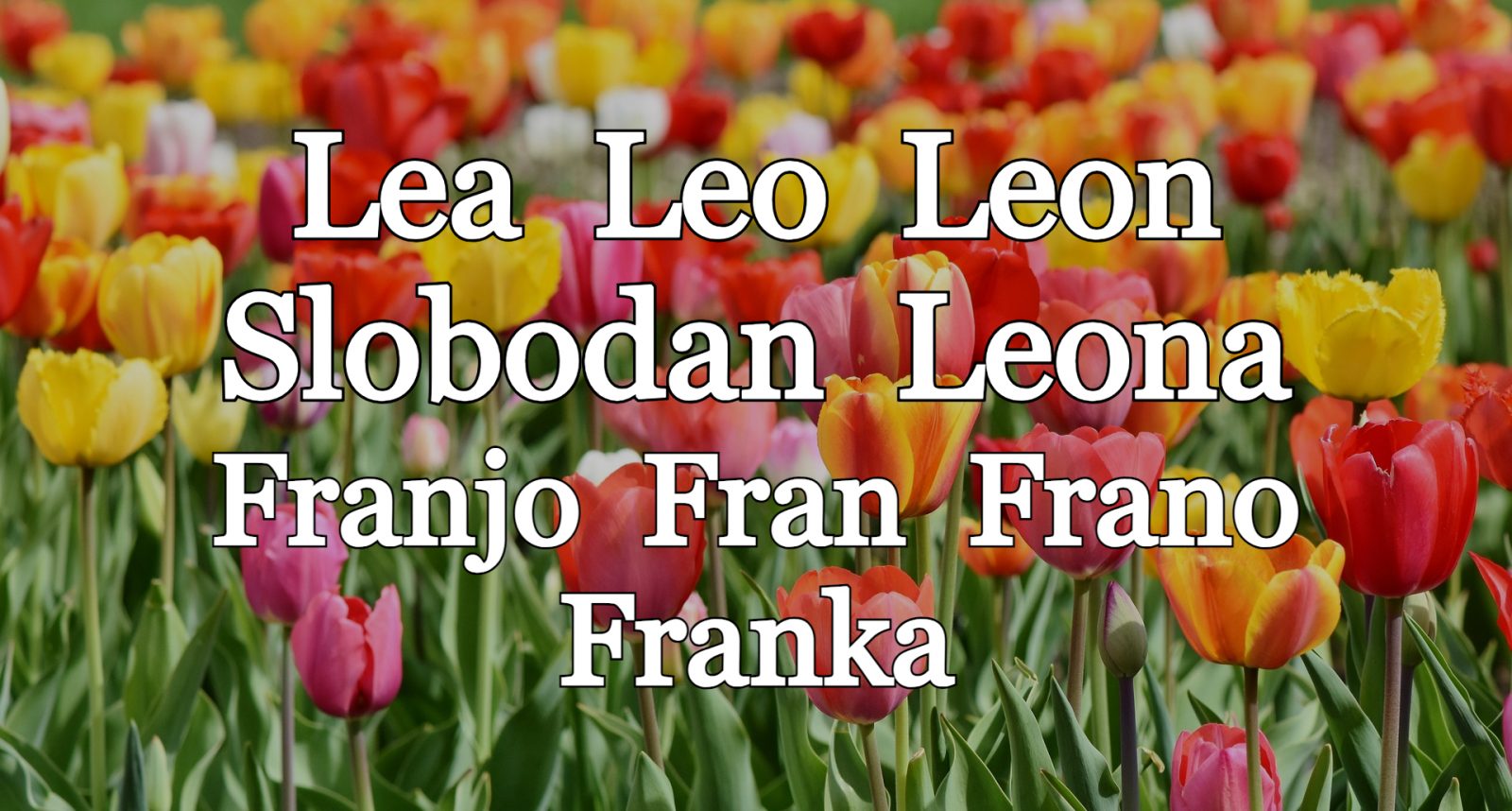 Danas imendan slave Lea, Leo, Leon, Leona, Slobodan, Franjo, Fran ...