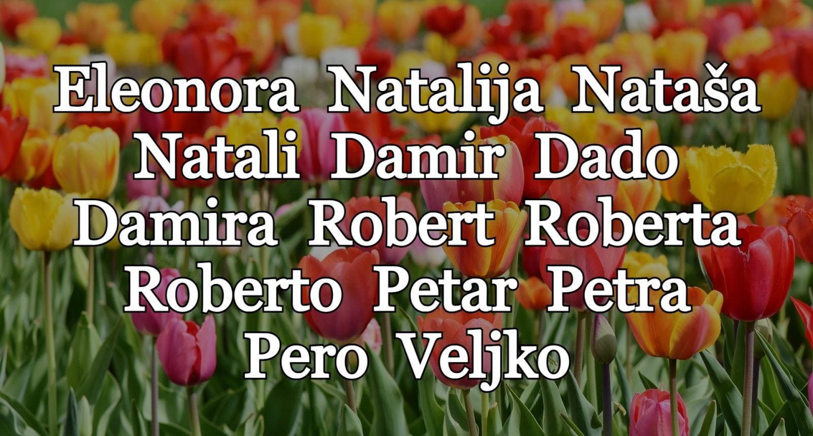 Imendan slave Eleonora, Natalija, Nataša, Natali, Damir, Dado, Damira ...