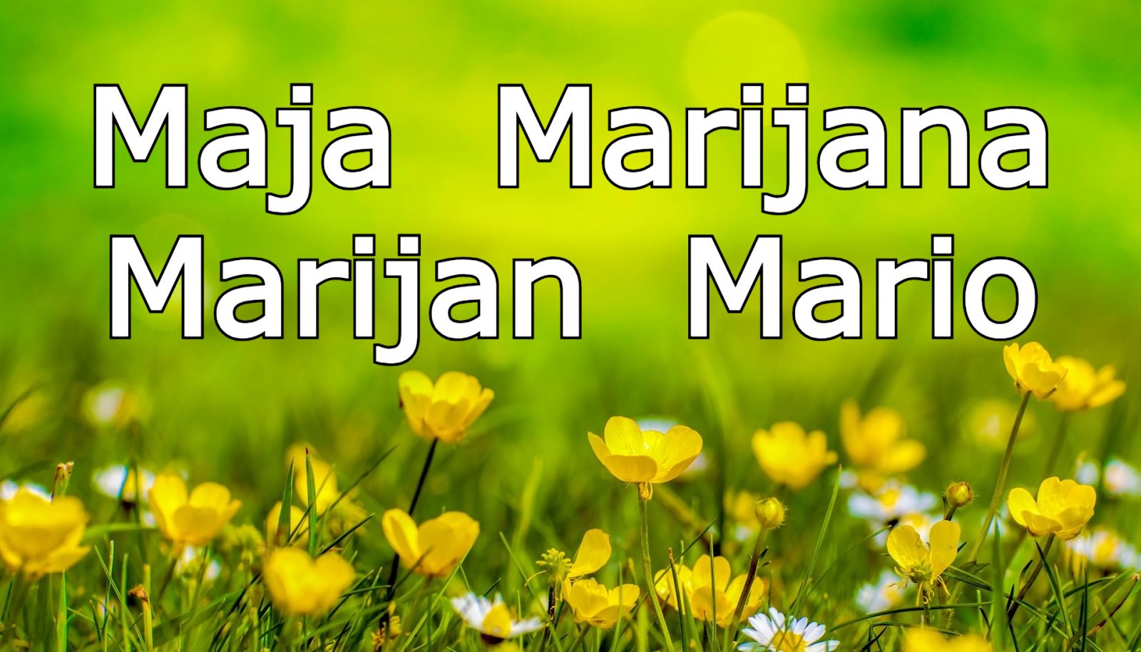 Danas imendan slave Maja, Marijana, Marijan i Mario