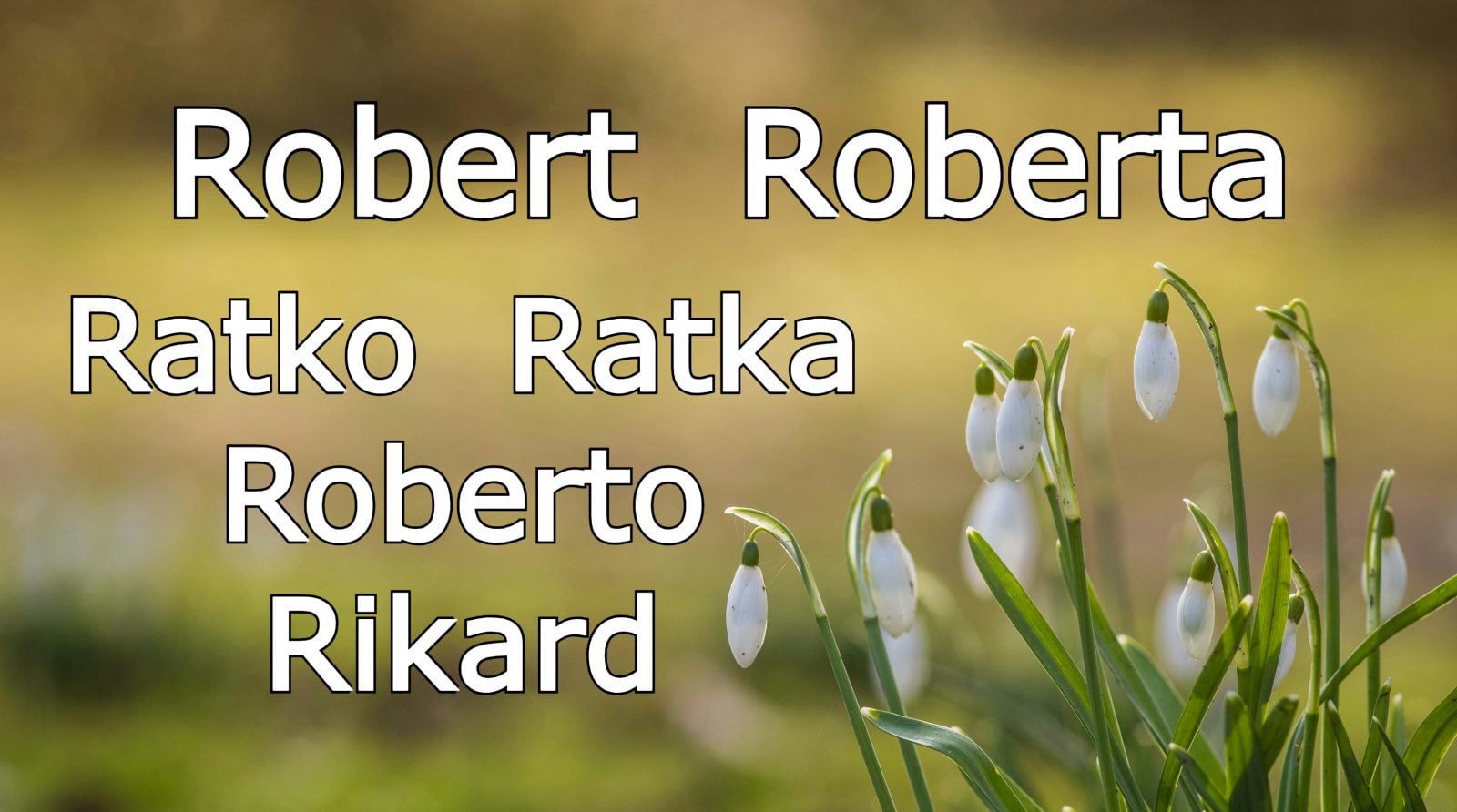 Imendan danas slave Robert, Roberta, Roberto, Ratko, Ratka i Rikard