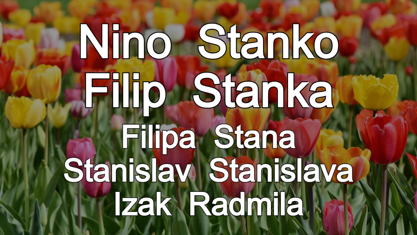 Imendan slave Nino, Filip, Filipa, Stanko, Stanka, Stana, Stanislav ...
