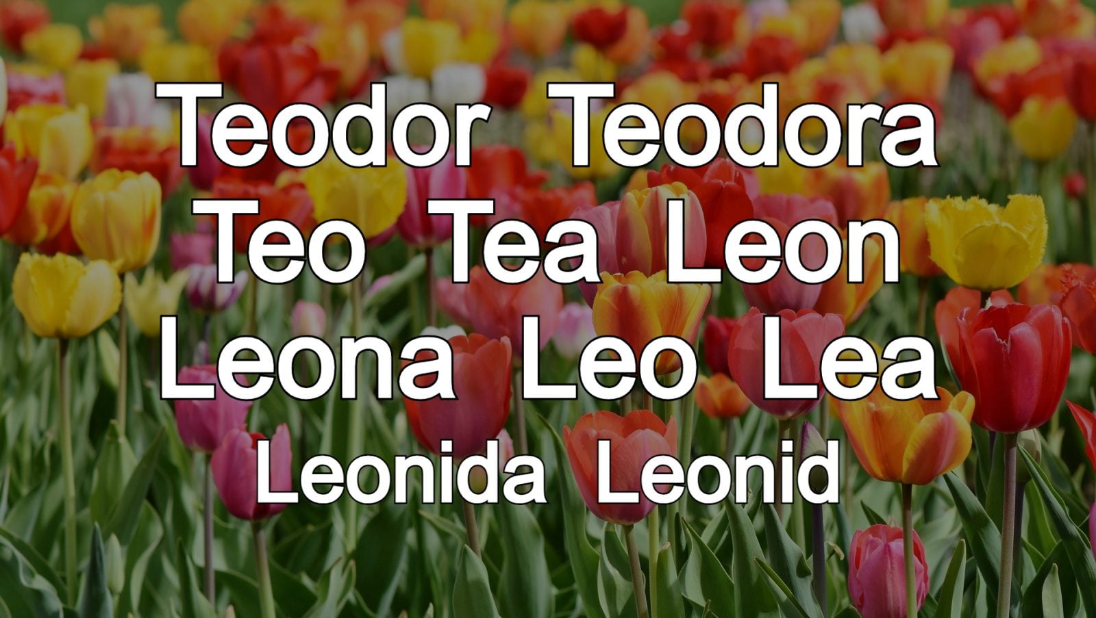 Imendan slave Teodor, Teodora, Teo, Tea, Leon, Leona, Leo, Lea, Leonida ...
