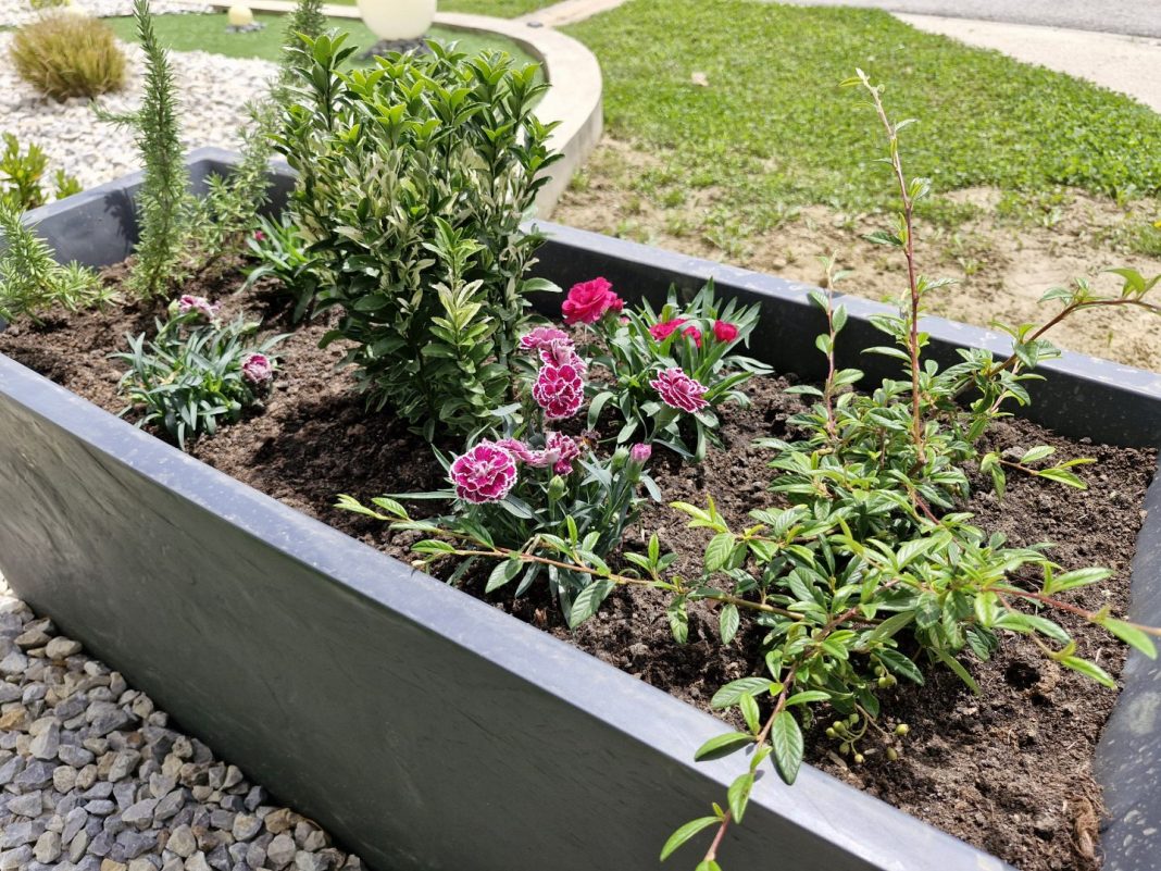 Robert Kos: Obožavam starine, ciglu, drvo i cvijeće!