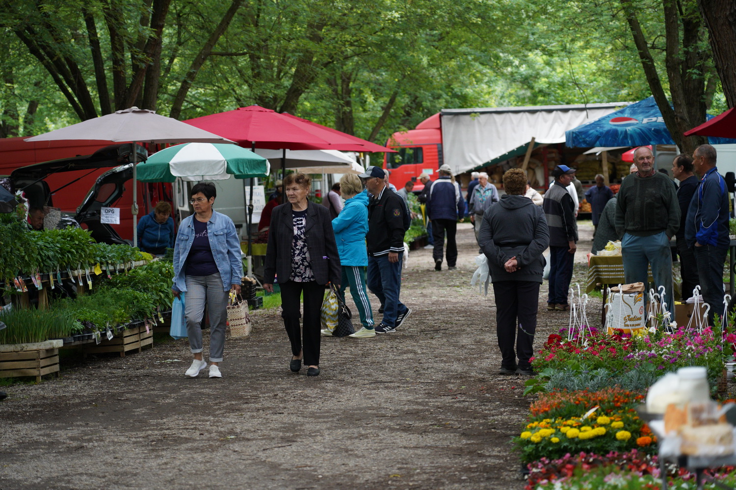 Sajam u Čakovcu 12.6.2024.