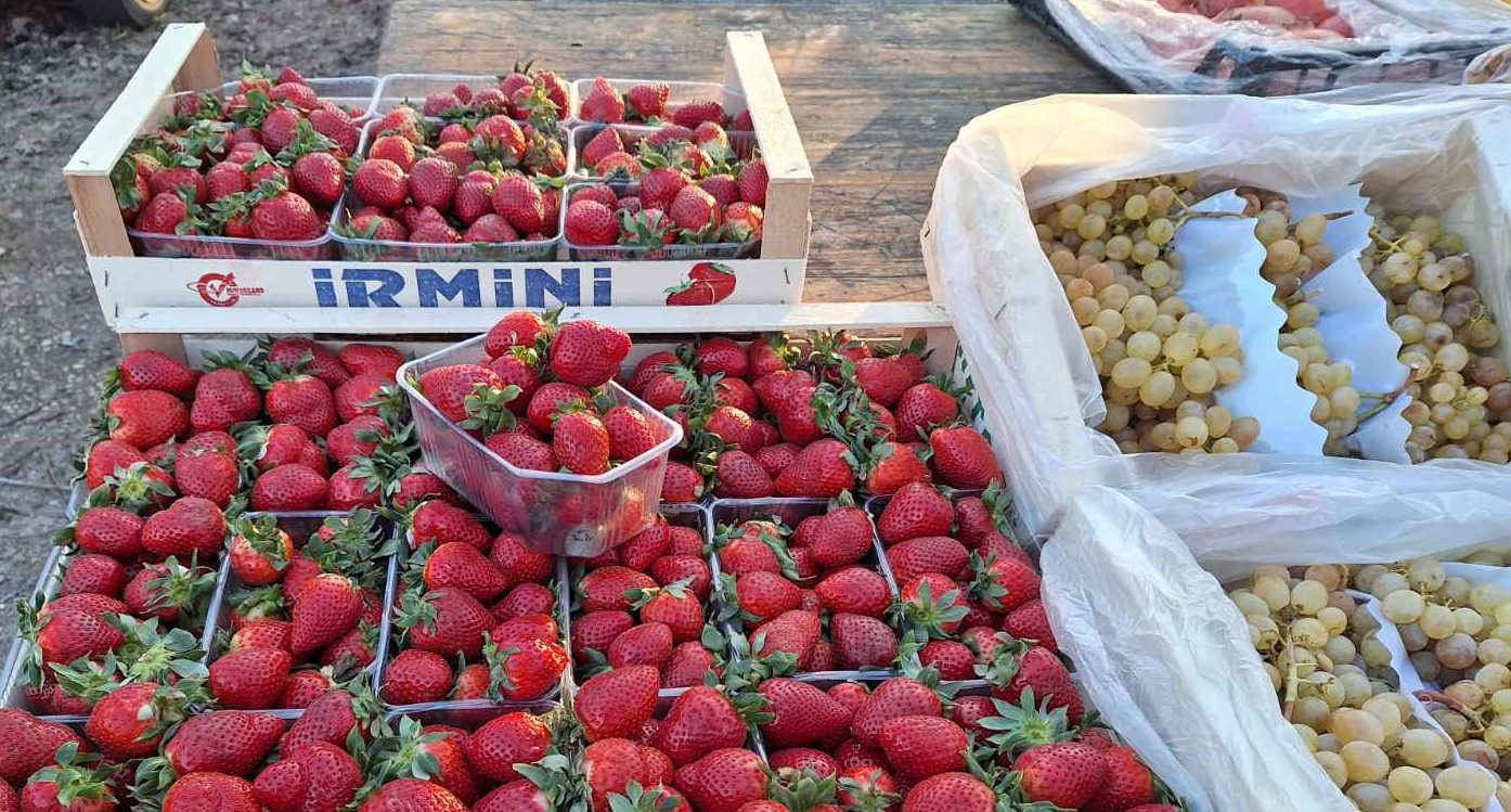 Čakovečki sajam srijedom: unatoč hladnoći jagode u prvom planu!
