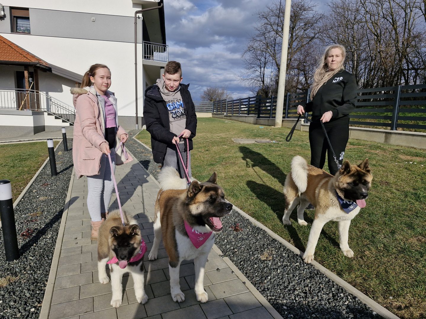 Američke akite Kala, Kan i Kim najbolja su terapija Valentini Novak iz ...